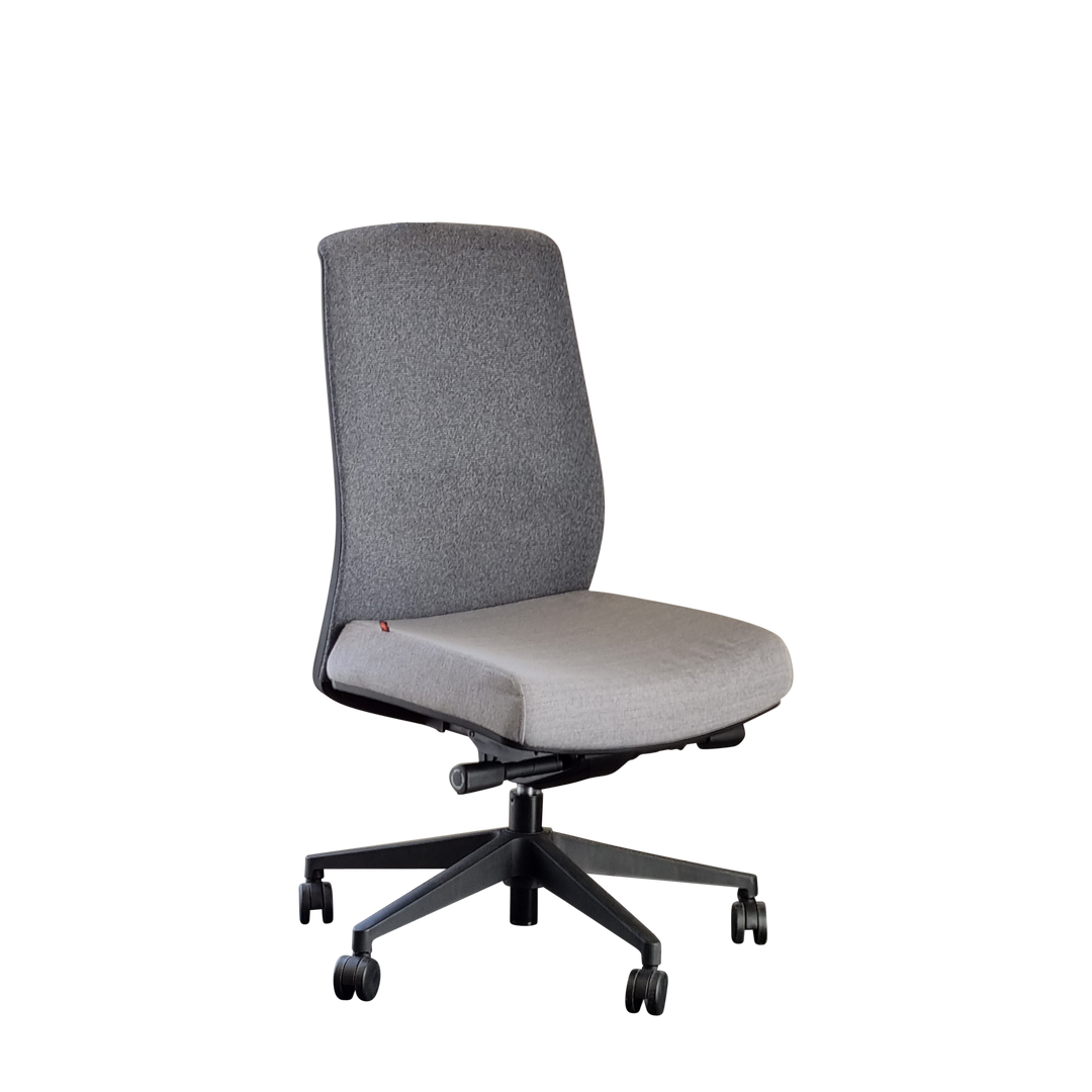 Raptor Ergonomic Office Chair - Furniture For Backs