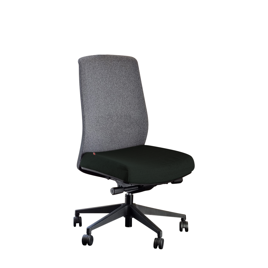 Raptor Office Chair – Bold Design with Ergonomic Performance ...