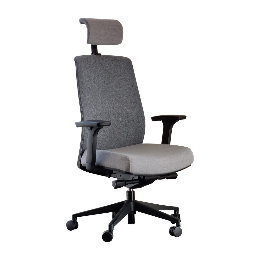 Raptor Office Chair – Bold Design with Ergonomic Performance ...